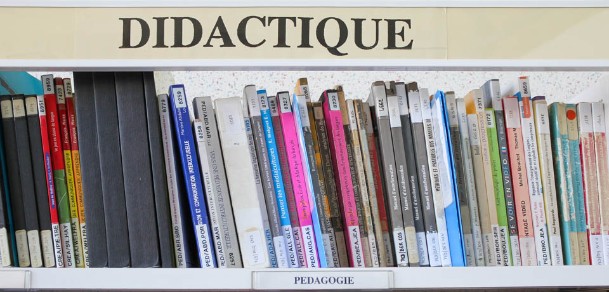 Formación de formadores - DAEFLE - DEFLE - Français Langue Étrangère